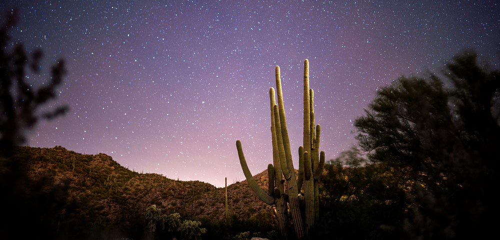 Desert Stargaze: Limited Edition Artisan Candle | Brooklyn Candle